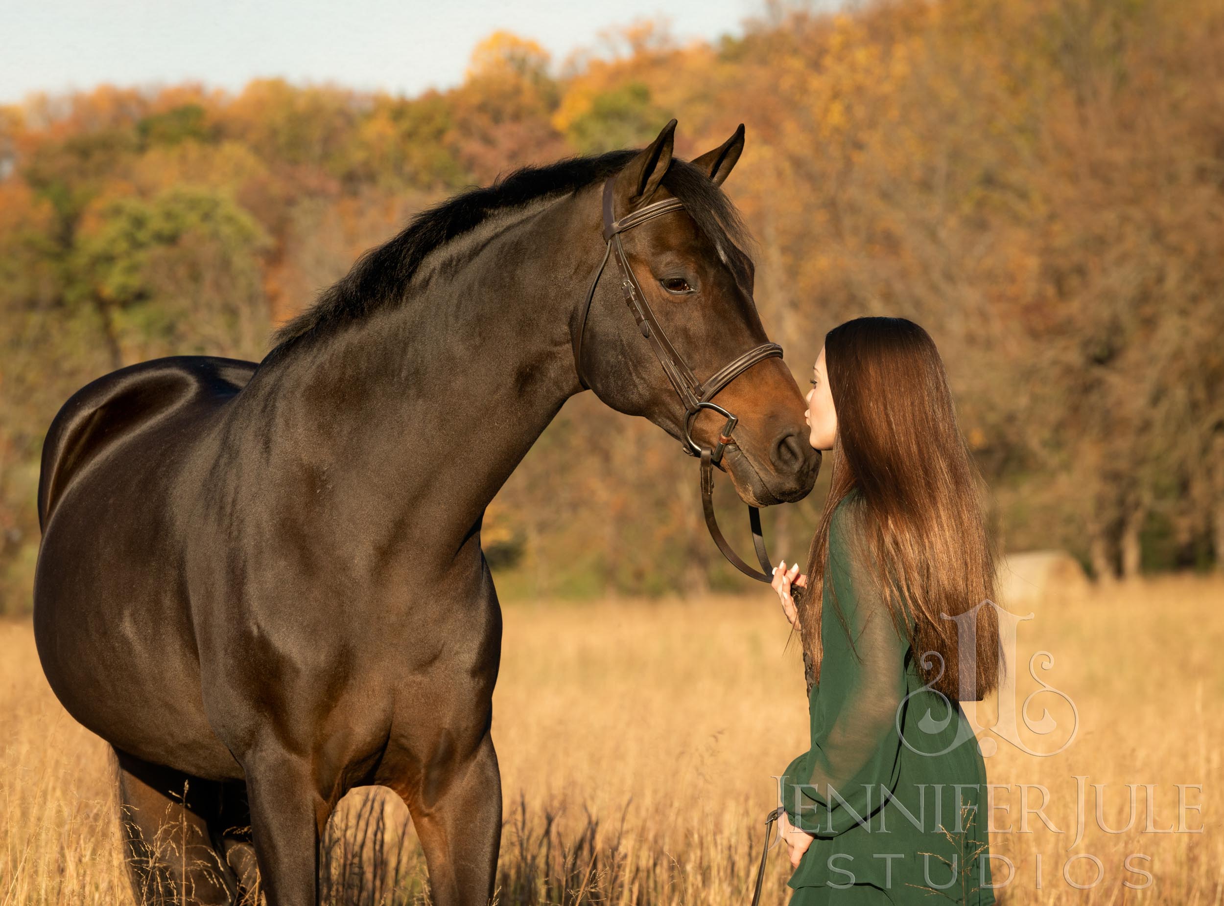 Hedgeland Equestrian Complex Horse and Rider Portrait Session in ...