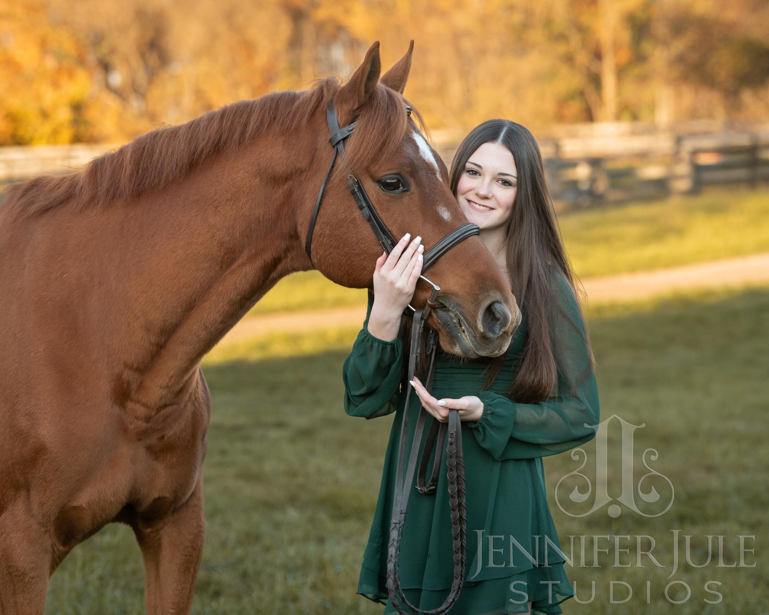 Hedgeland Equestrian Complex Horse and Rider Portrait Session in ...